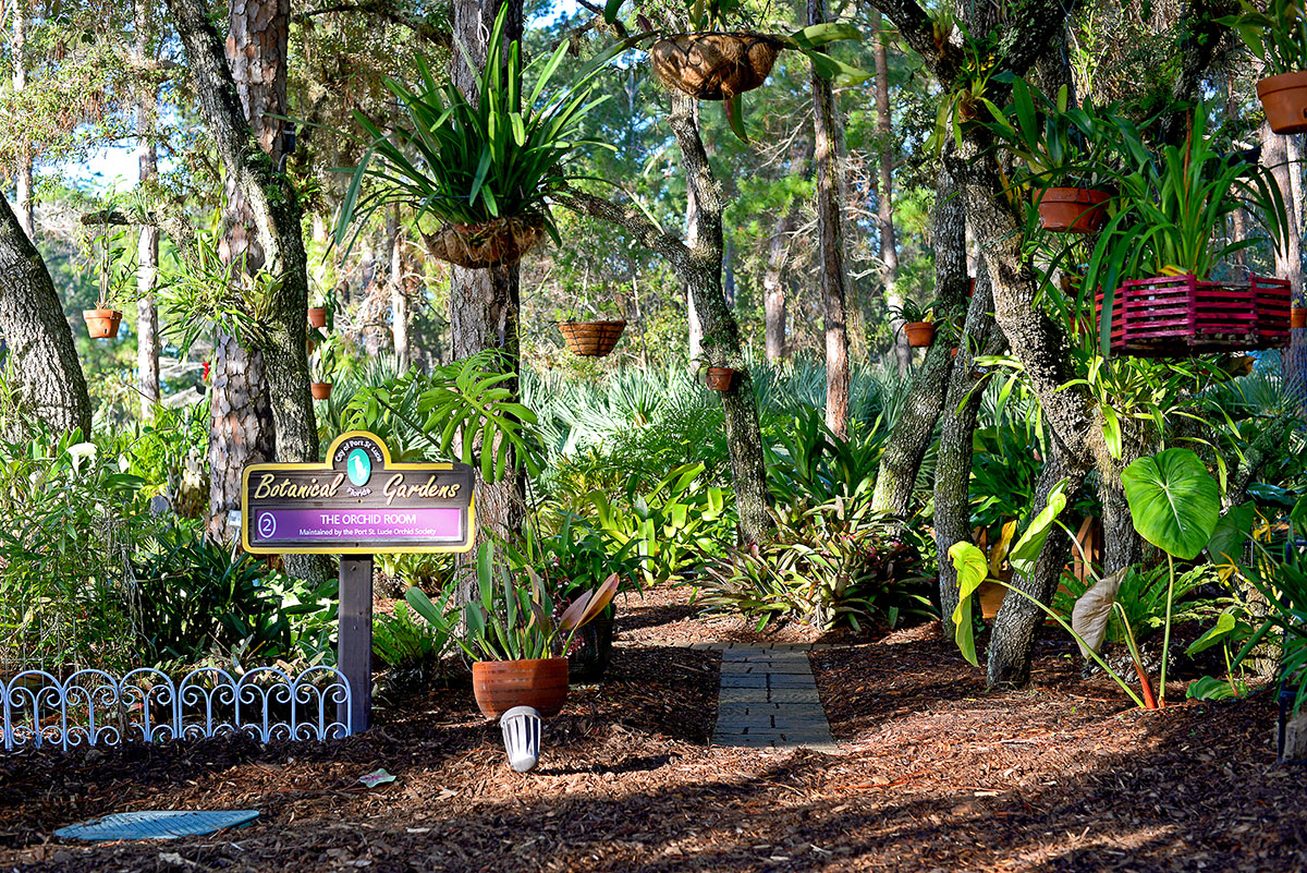 Orchid Society in bloom for nearly four decades | Indian River Magazine
