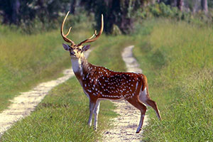 Indian River Magazine | The Treasure Coast’s leading magazine